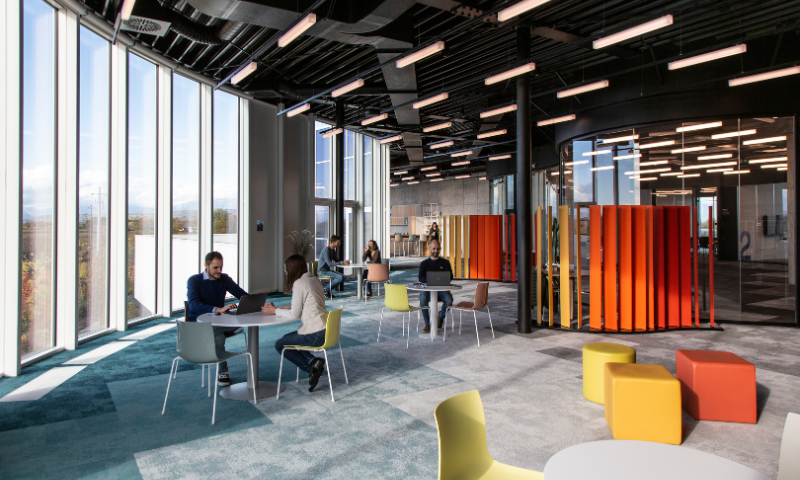 Model 231: a Choice of Transparency and Legality | Galdi